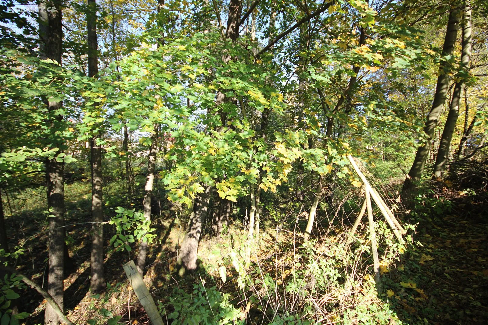 Prodej stavebního pozemku 3187 m², V Lučinách, Liberec - Liberec XXV ...