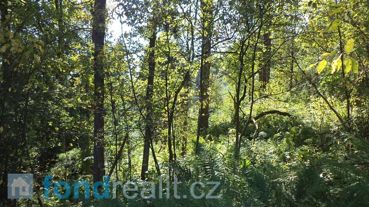 Prodej pozemku 15217 m², Roztoky u Semil • Sreality.cz