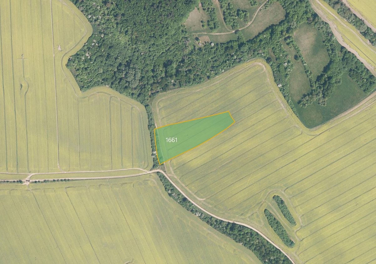 Prodej pole 4881 m², Traplice • Sreality.cz