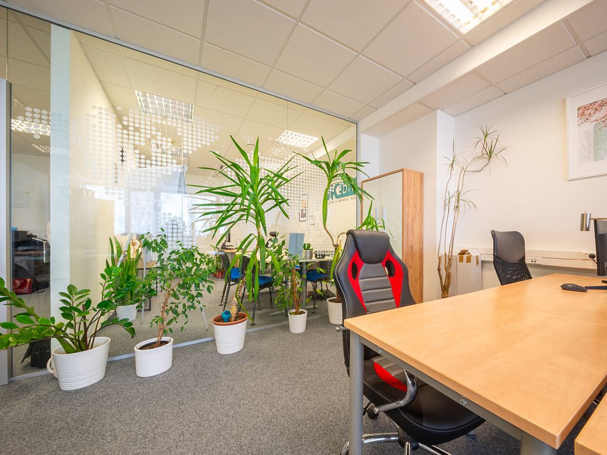 Pronájem kanceláře 25 m², Tuřanka, Brno - Slatina • Sreality.cz