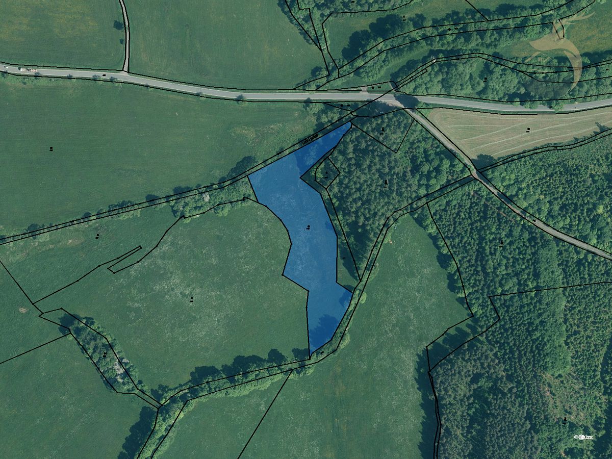 Prodej louky 11837 m², Hartmanice - Kundratice • Sreality.cz