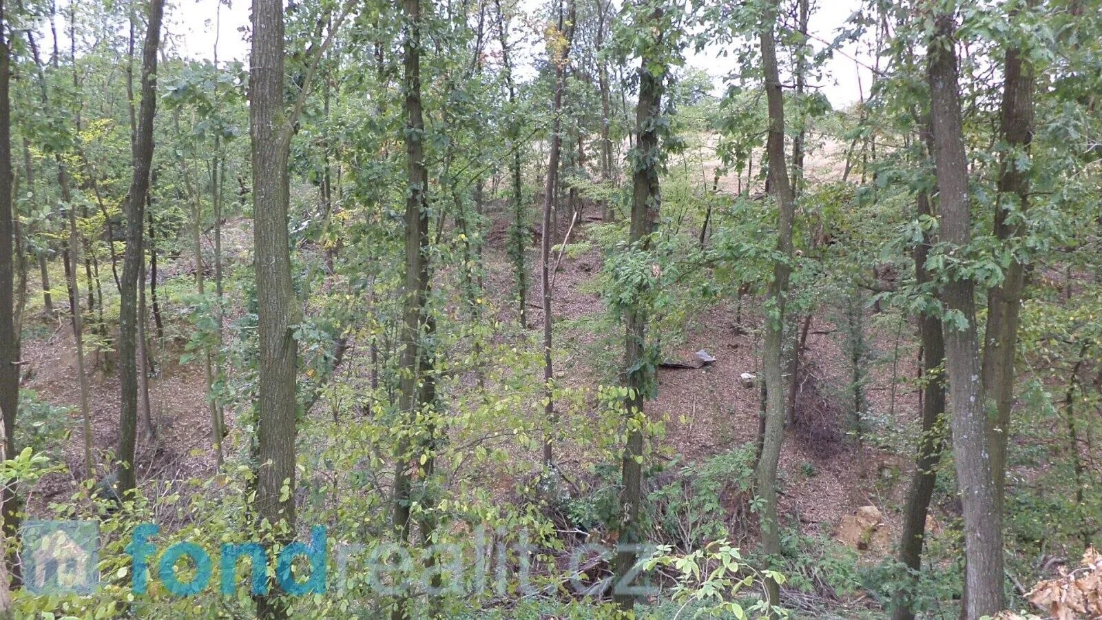 Prodej pozemku 19641 m², Traplice • Sreality.cz