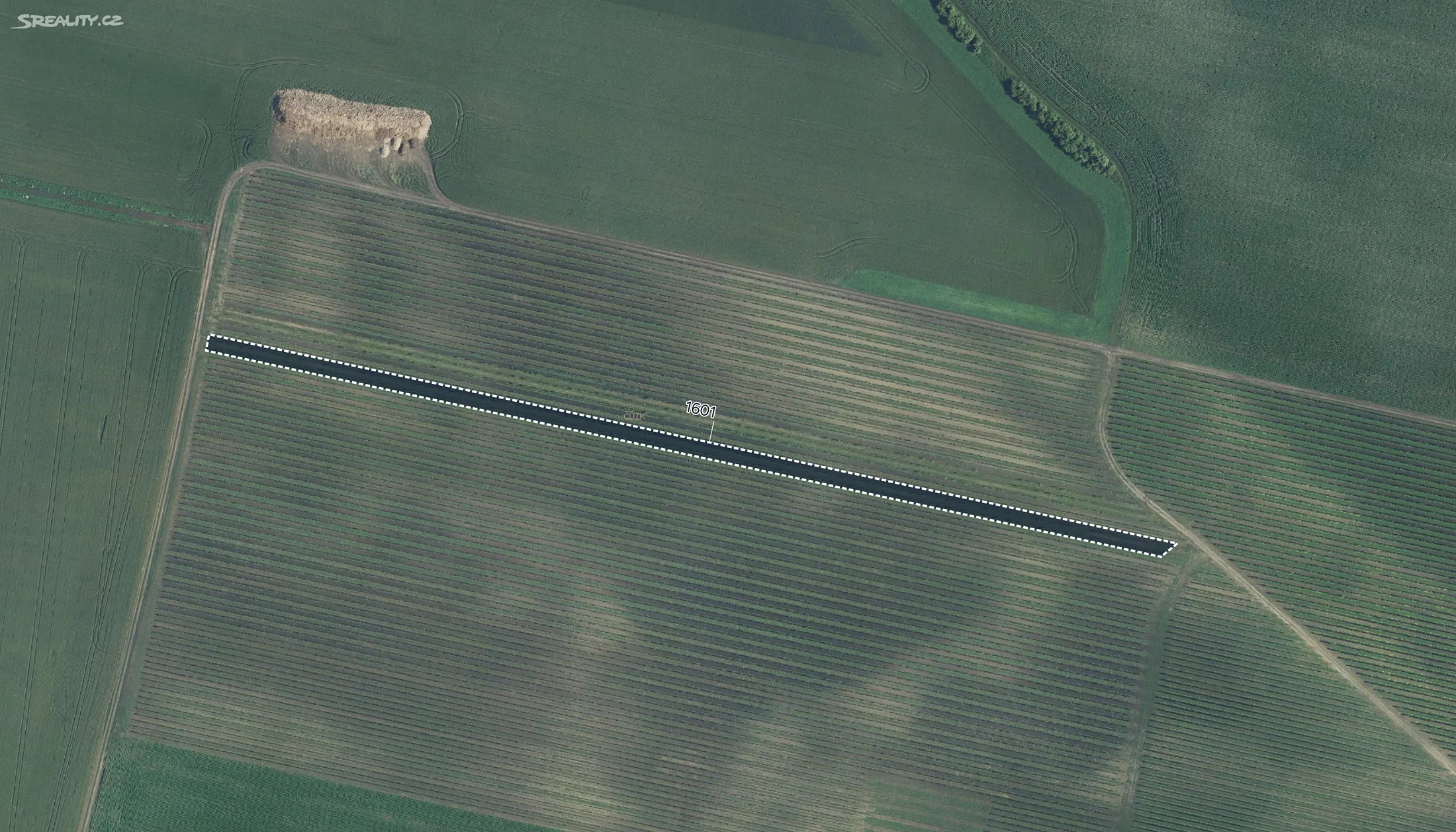 Prodej sadu, vinice 5465 m², Terezín • Sreality.cz