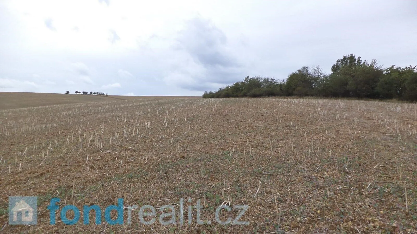 Prodej pozemku 19641 m², Traplice • Sreality.cz