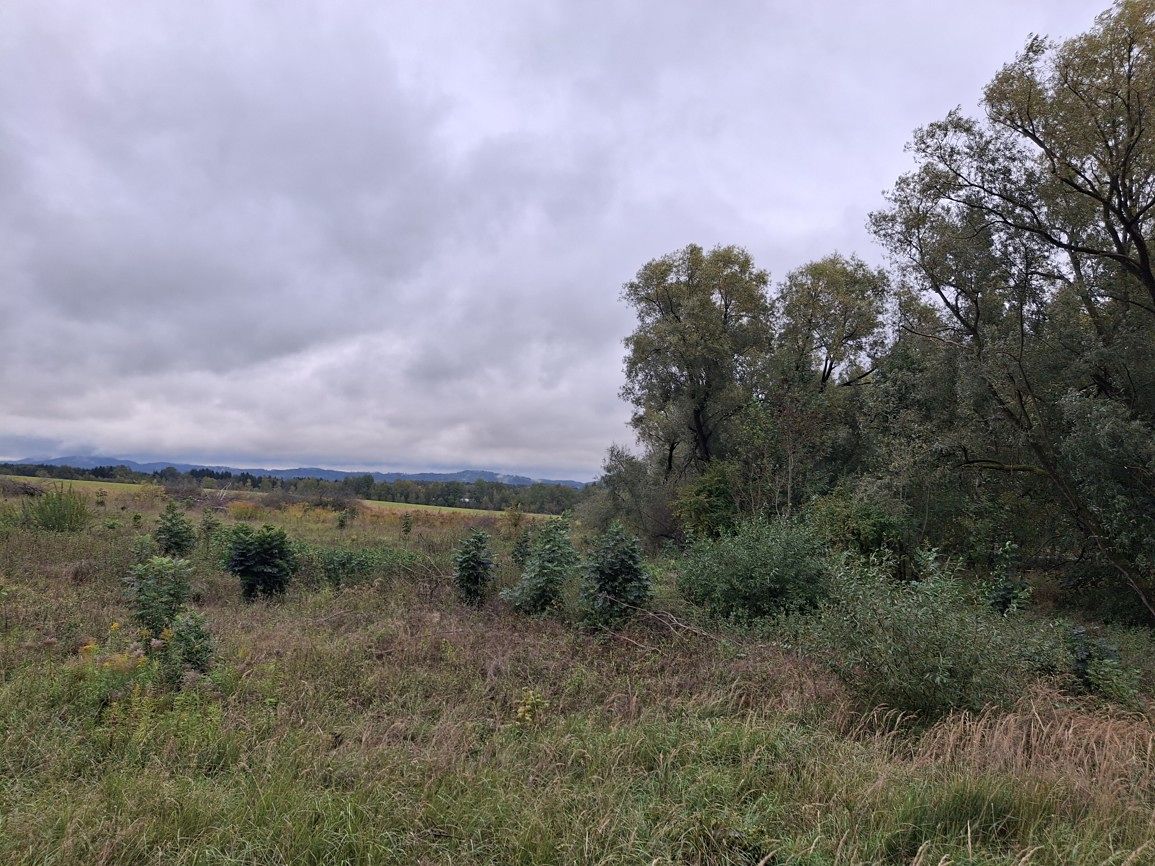 Prodej pozemku 3546 m², Nejdecká, Chodov • Sreality.cz