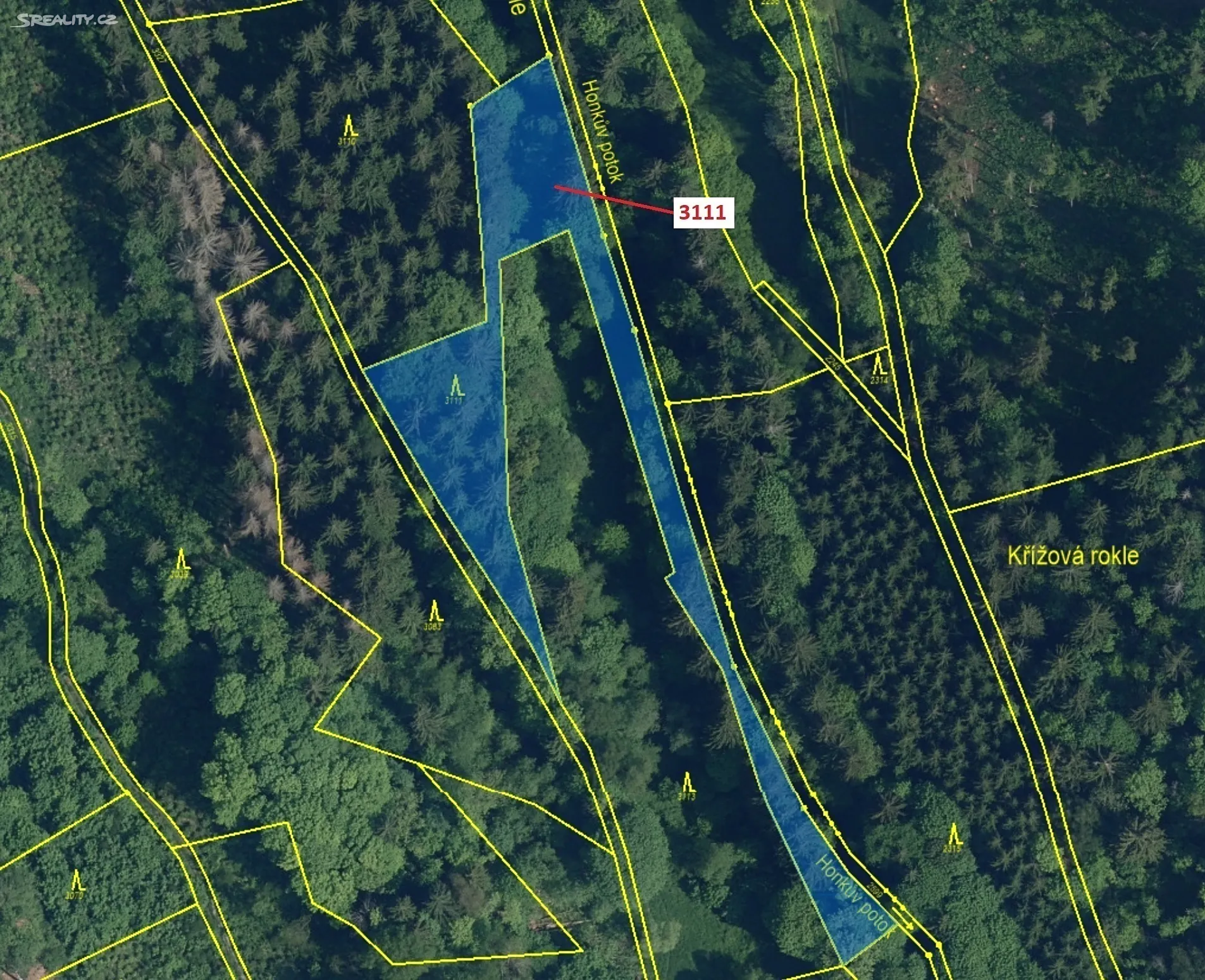 Dražba lesa 2958 m², Benešov u Semil • Sreality.cz