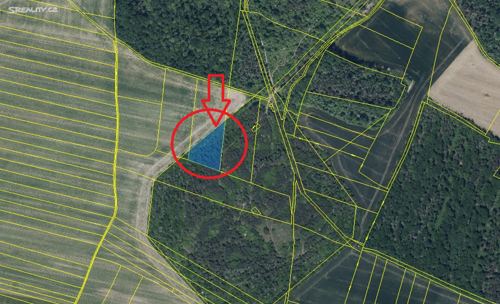 Prodej lesa 3677 m², Budyně nad Ohří • Sreality.cz