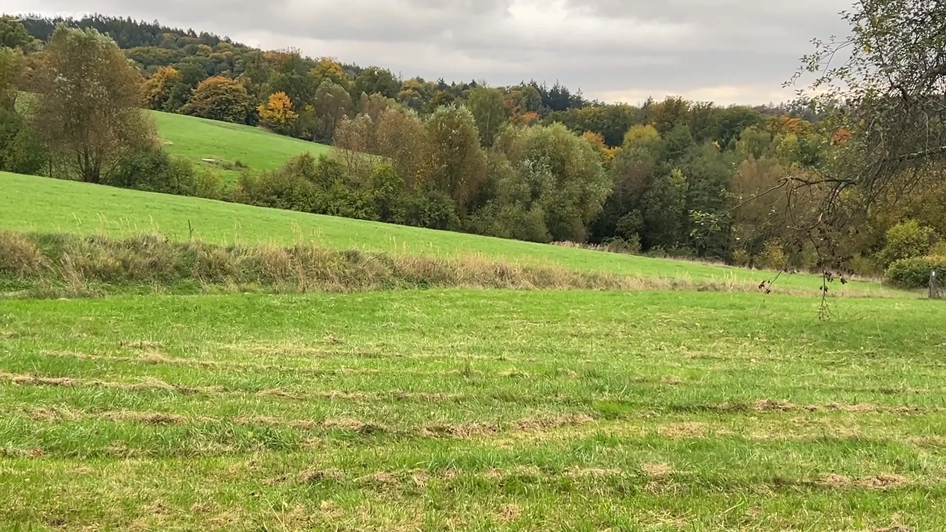 Prodej stavebního pozemku 5276 m², Šárovcova Lhota - Libín • Sreality.cz