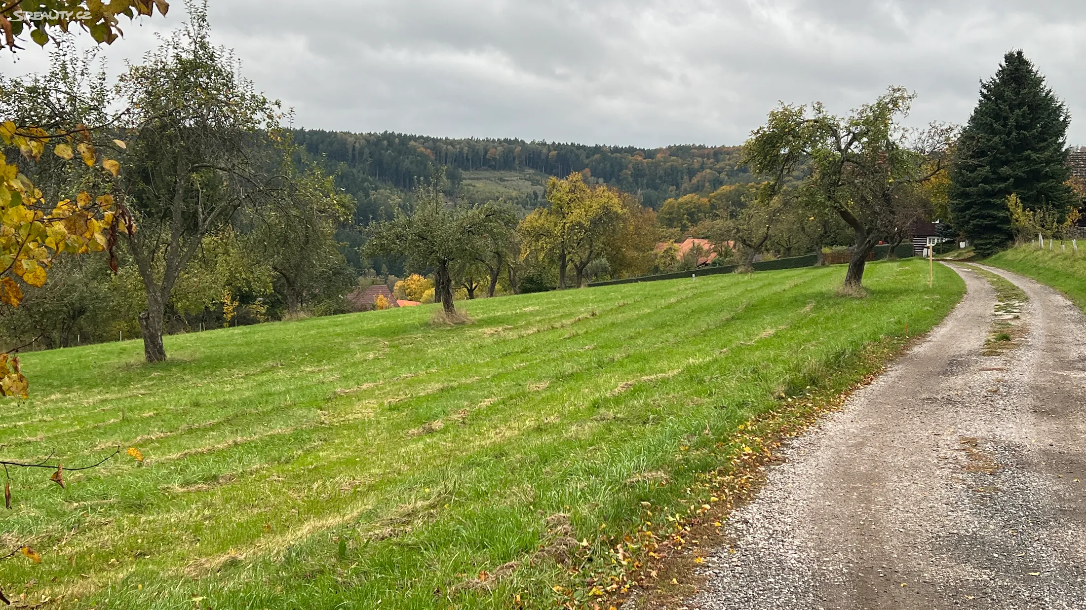 Prodej stavebního pozemku 5276 m², Šárovcova Lhota - Libín • Sreality.cz