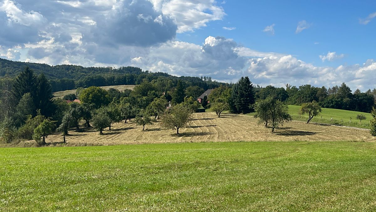 Prodej stavebního pozemku 5276 m², Šárovcova Lhota - Libín • Sreality.cz