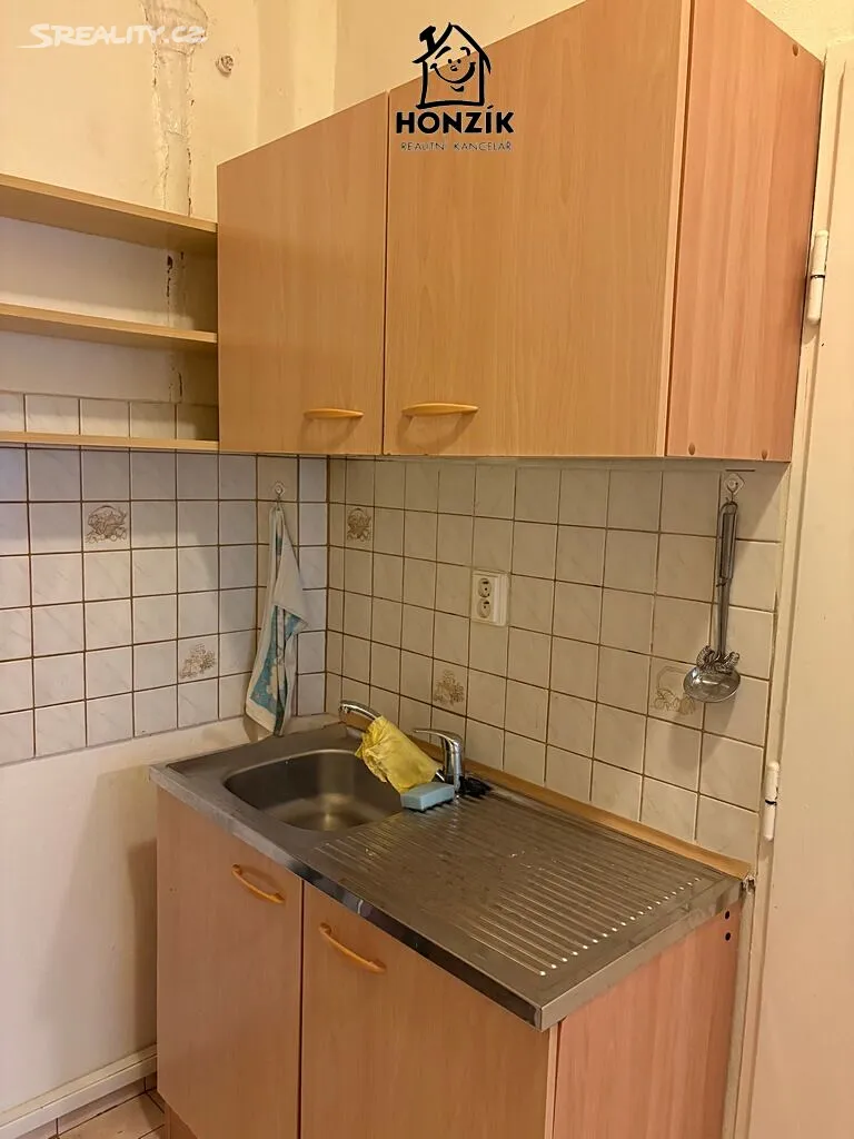 Pronájem bytu 1+kk 24 m², Biskupcova, Praha - Žižkov • Sreality.cz