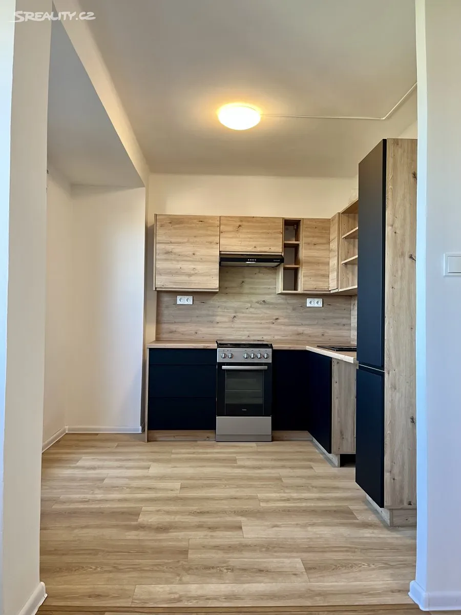 Pronájem bytu 1+1 39 m², Mánesova, Ostrava - Moravská Ostrava • Sreality.cz